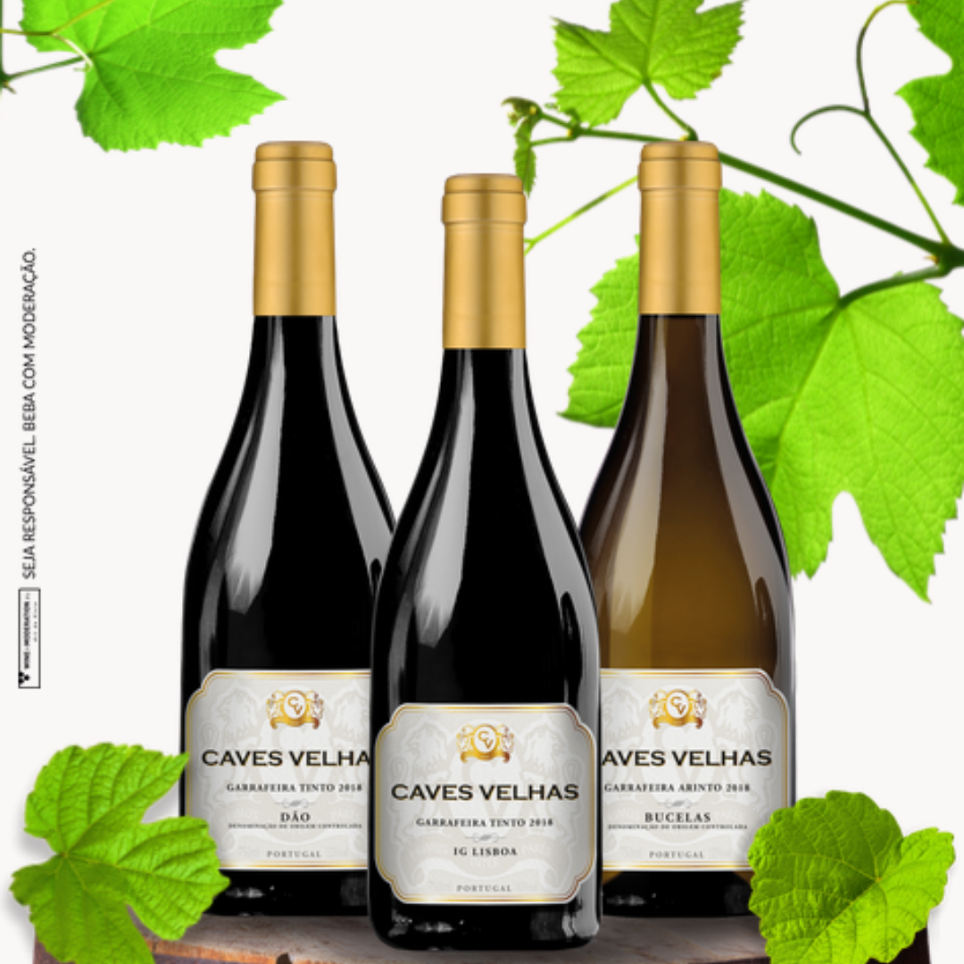 CAVES VELHAS ENCRUZADO 2022 DOC DÃO